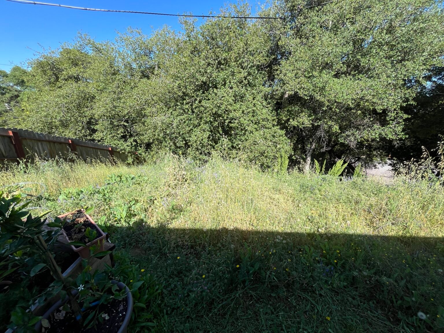 Golden Foothills Landscaping